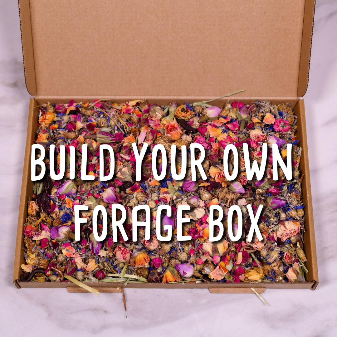 Build your own forage box – Teddys Bakery